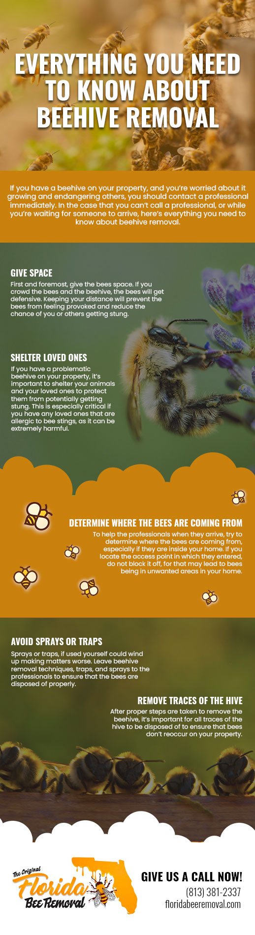 Everything You Need to Know About Beehive Removal [infographic ...