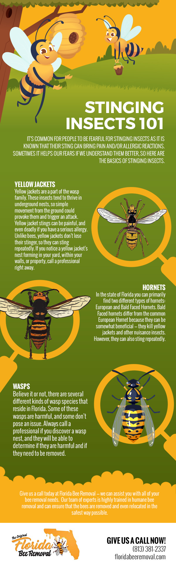 Stinging Insects 101 [infographic] | Florida Bee Removal