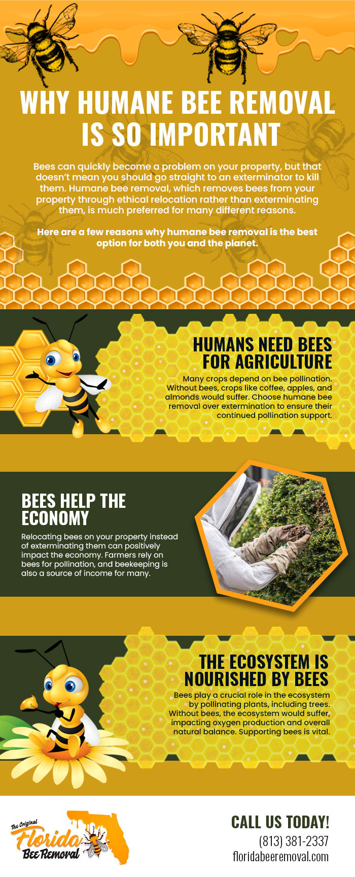 Why Humane Bee Removal is So Important [infographic] | Florida Bee Removal