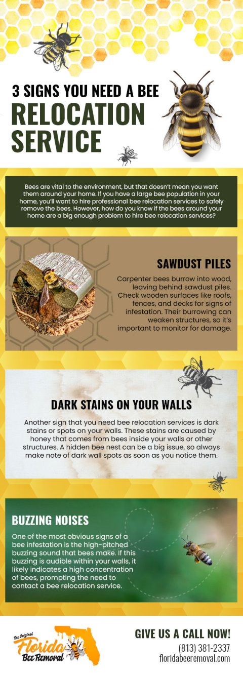 3 Signs You Need a Bee Relocation Service [infographic] | Florida Bee ...