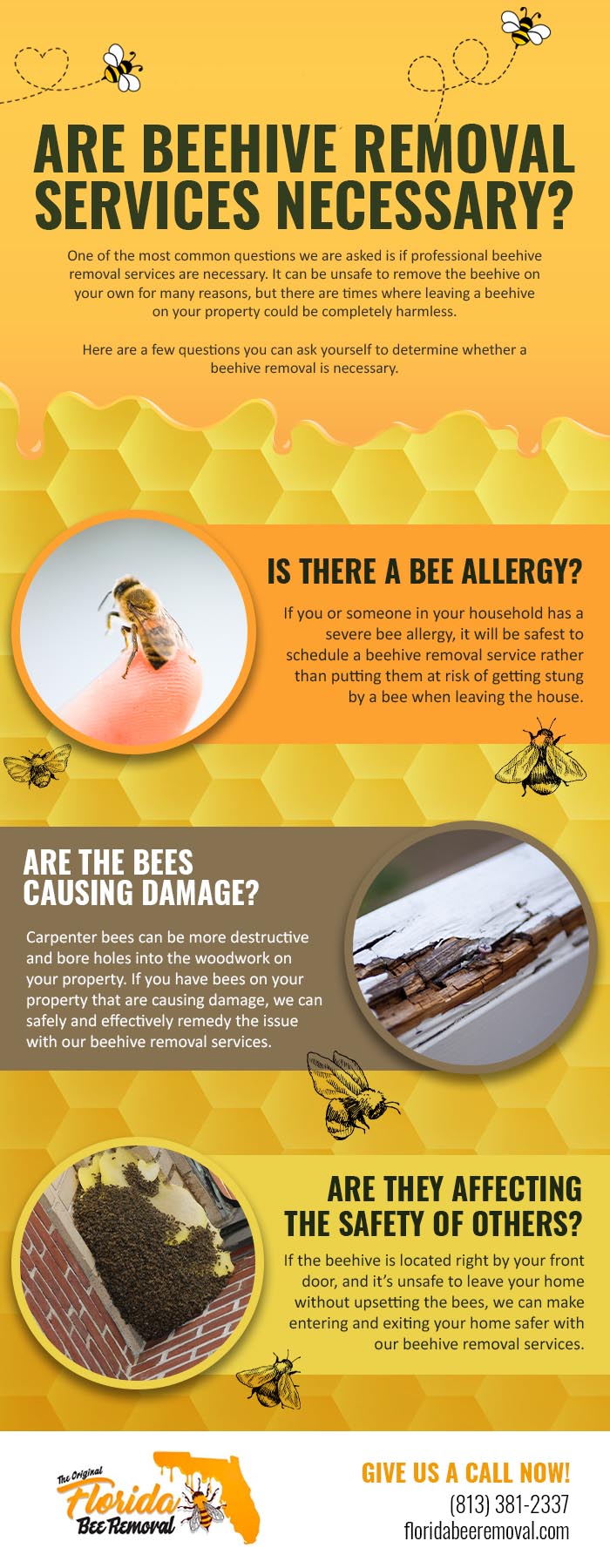 Are Beehive Removal Services Necessary? [infographic] | Florida Bee Removal
