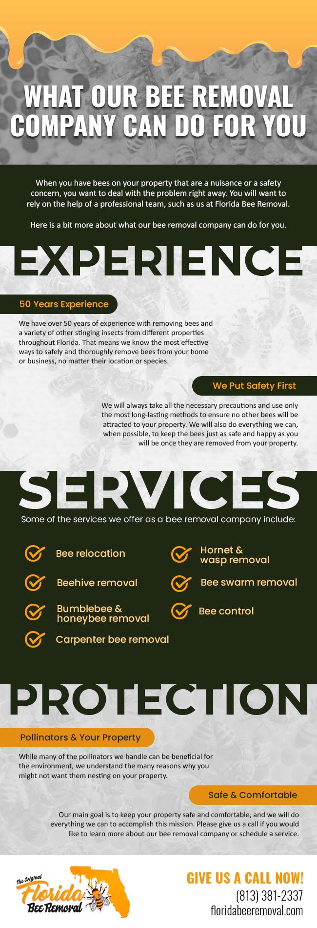 What Our Bee Removal Company Can Do for You [infographic] | Florida Bee ...